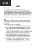 Havran - Rozbor K Maturitě | PDF