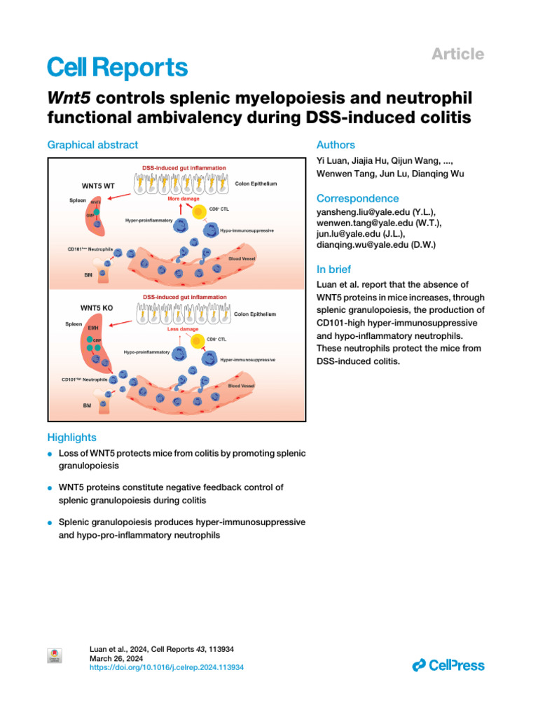 Wnt5 control splenic myelopoiesis and neutrophil functional ambivalency ...