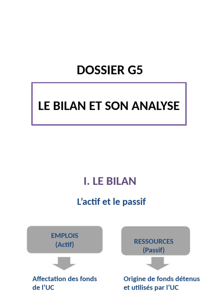 Analyse du Bilan Comptable G5 | PDF | Bilan comptable | Dépréciation