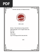 Tổ Chức Hoạt Động Trải Nghiệm THCS | PDF