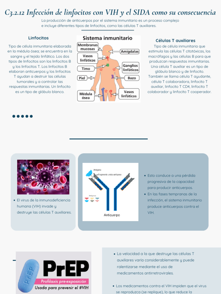 C3.2.12 Infección de Linfocitos Con VIH y El SIDA Como Su Consecuencia ...