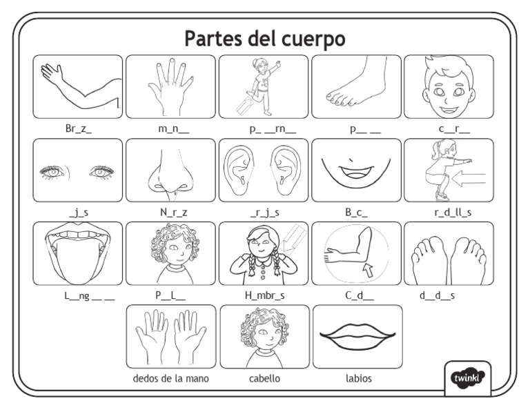 BW Tapete de Palabras - Partes Del Cuerpo | PDF