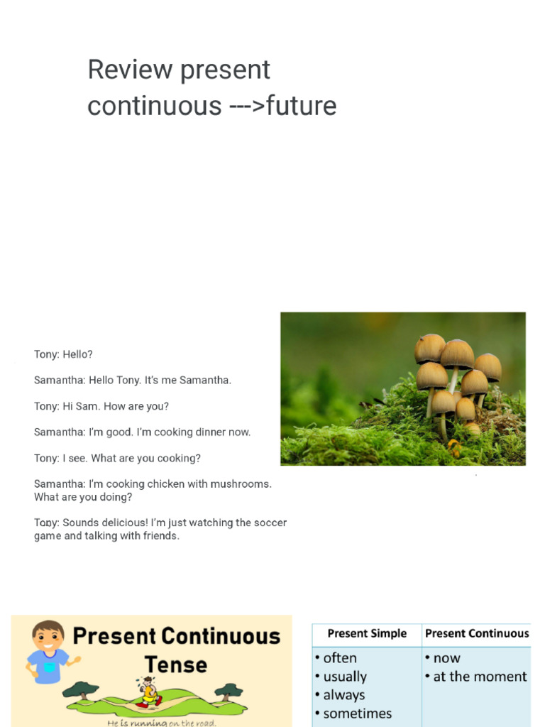 4 - Present Continuous Future | PDF