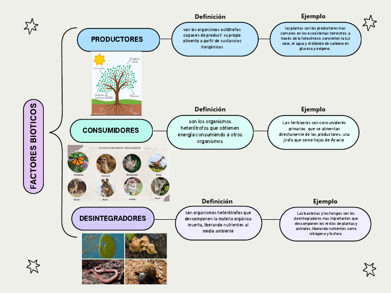 Factor BIOTICO | PDF