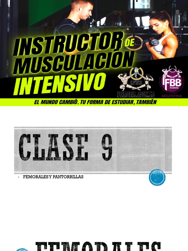 Clase 9 | PDF | Anatomía humana | Sistema musculoesquelético