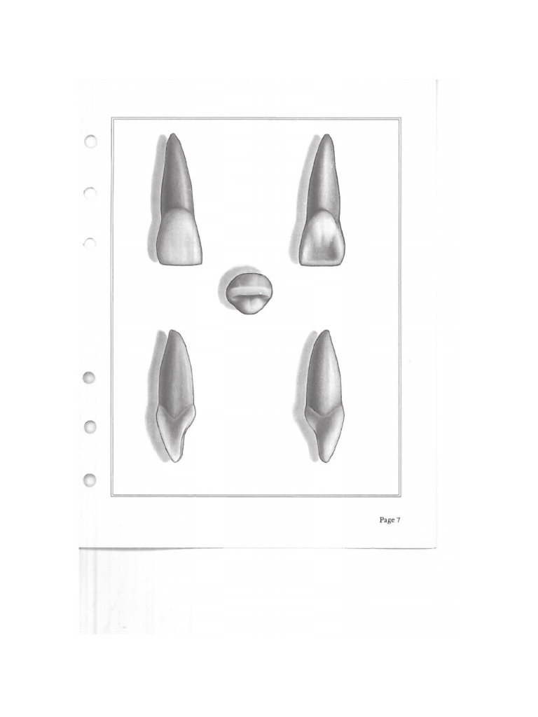 R11 | PDF