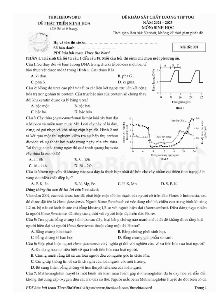 Đề 1 - TBW | PDF