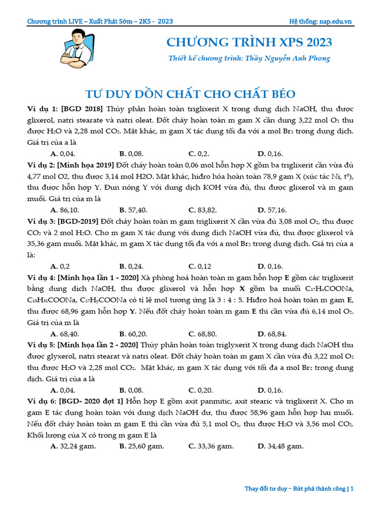 BT HỒN CHẤT BÉO 1 | PDF