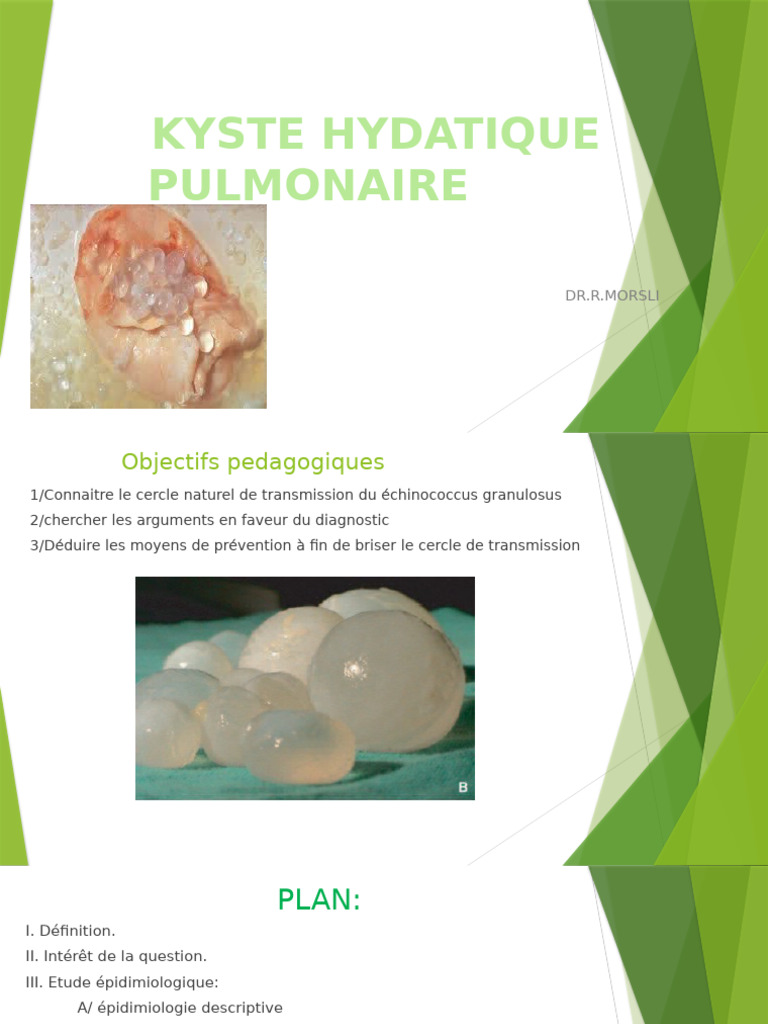 7 Kyste-Hydatique | PDF | Maladies et troubles | Médecine