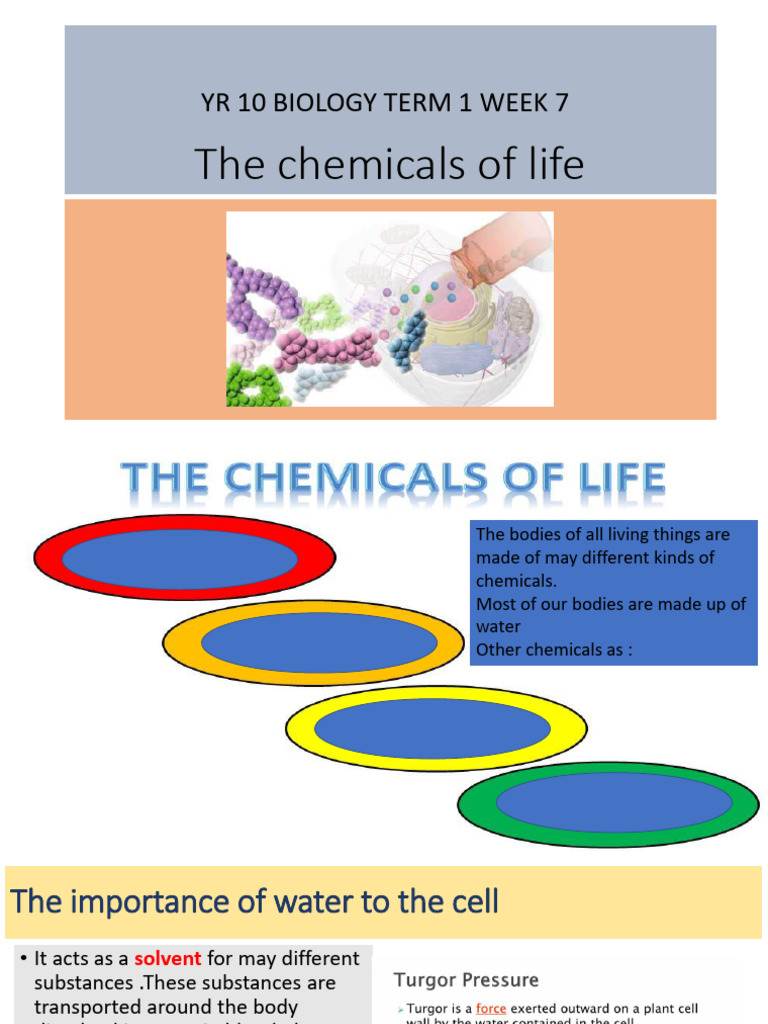 Y10 Bio CH.4 Biomolecules | PDF | Carbohydrates | Lipid