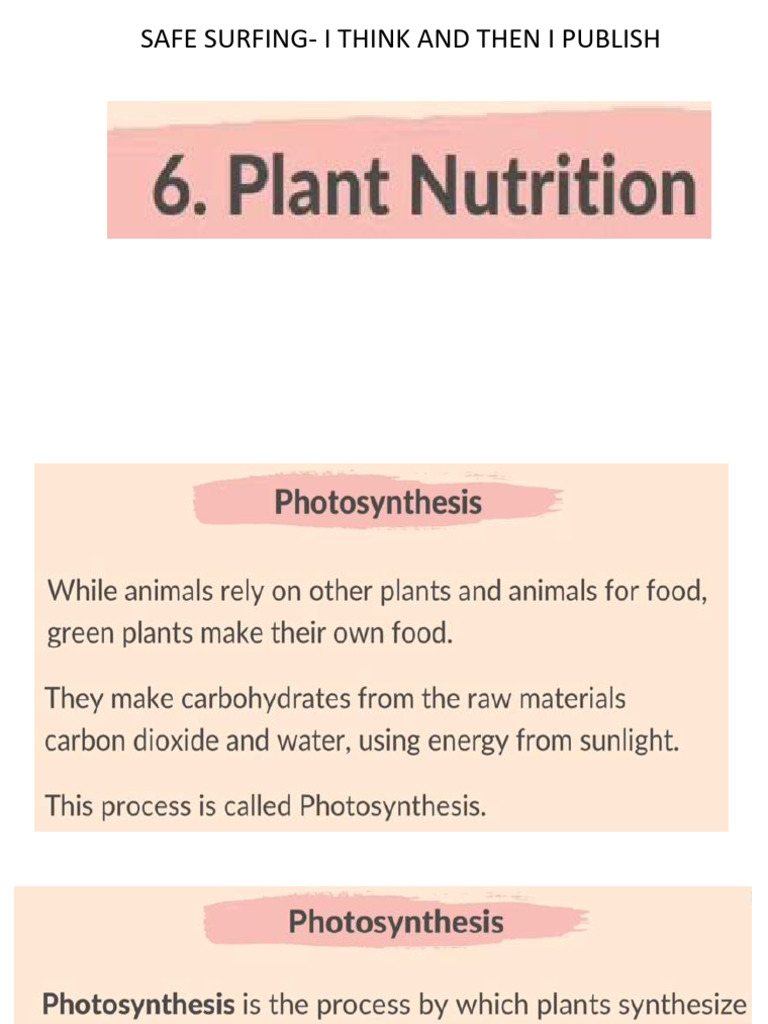 Yr 10 Biology Cie CH 6 Plant Nutrition | PDF