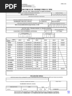 Formato 14 - 100 IVSS | PDF