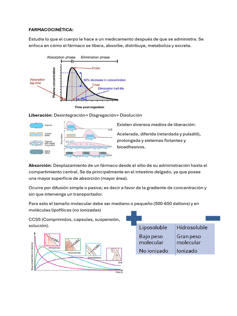 Farmacología Clase 2 | PDF | Enzima | Citocromo P450