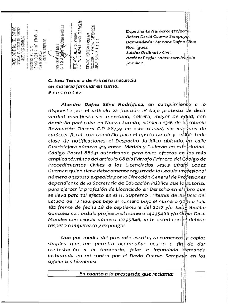 Contestacion Dafne Silva | PDF | Ley Pública | Gobierno