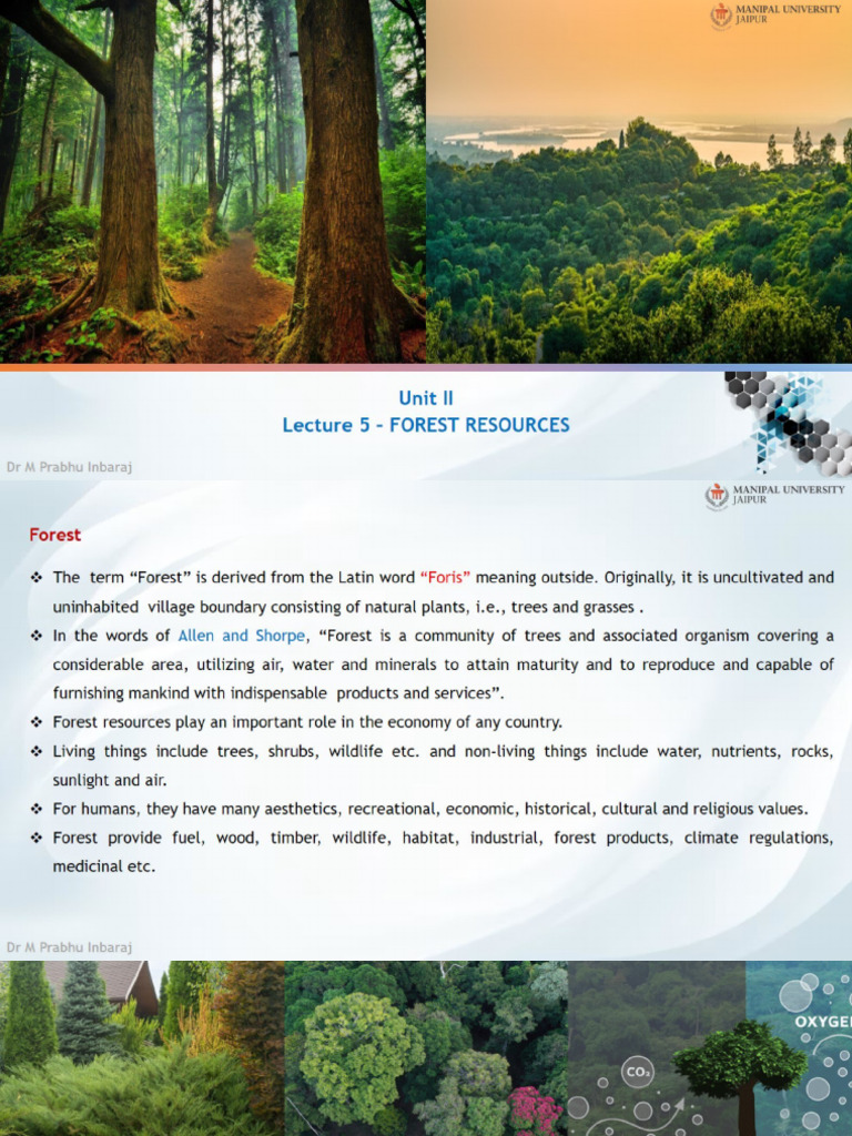Lecture 7 - Forest Resources | PDF