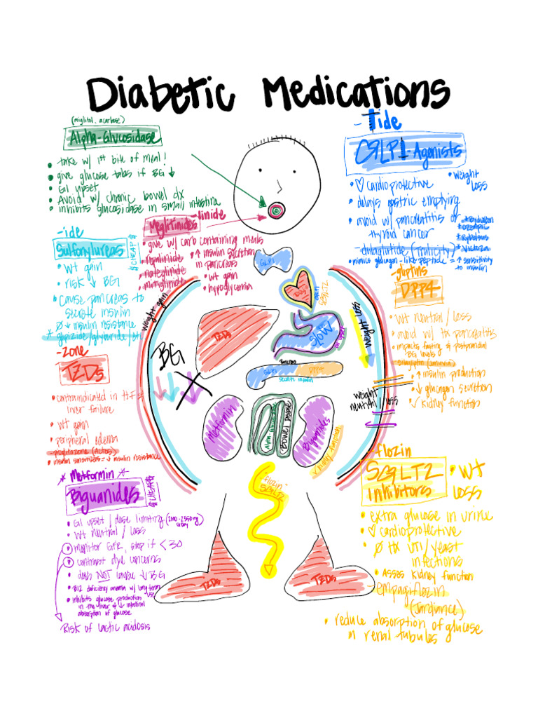 Diabetic medications (updated) | PDF