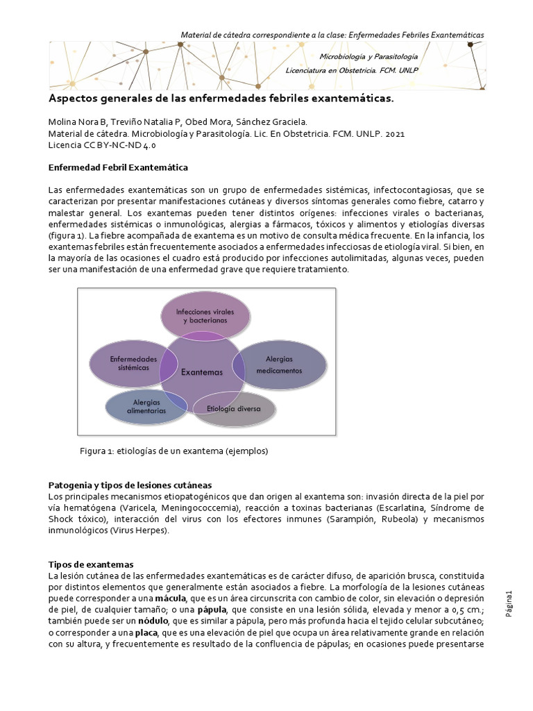 Aspectos Generales de Las Enfermedades Febriles Exantemáticas | PDF | Virus | Infección