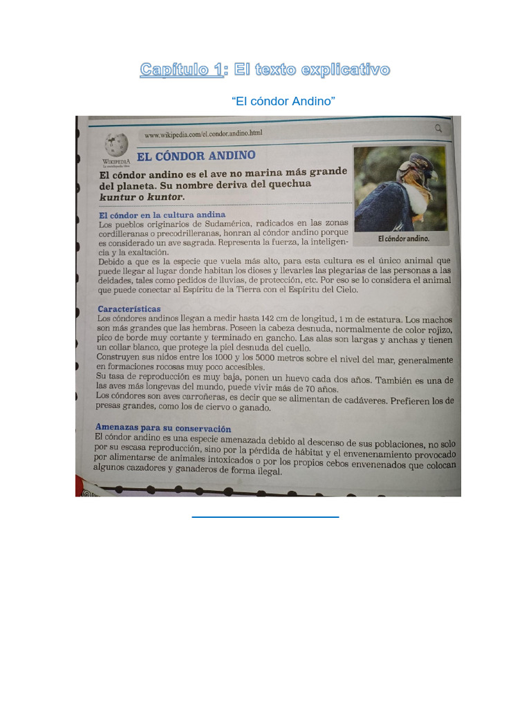 Capítulo 1 - El Texto Explicativo | PDF