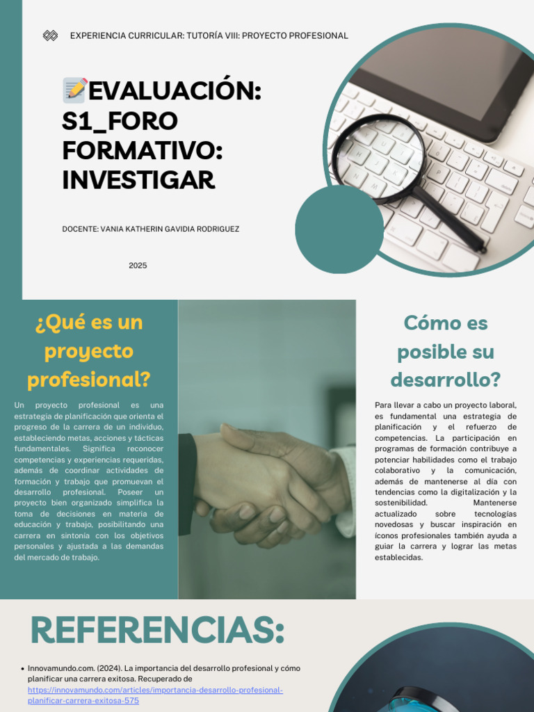 Proyecto Profesional: Guía de Desarrollo | PDF