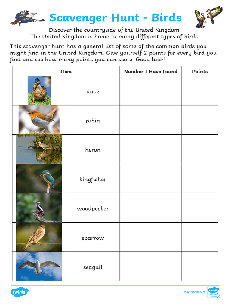 UK Bird Scavenger Hunt Guide | PDF