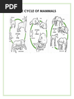 Insects: Grade 3 Lesson Plan | PDF | Insects | Phonics