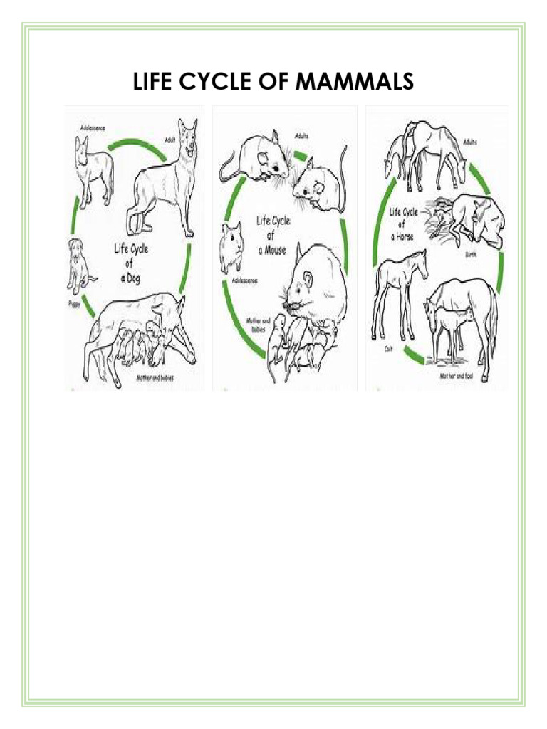 FP Grade 3 English Life Skills activity Term 2 Week 6.docx | PDF