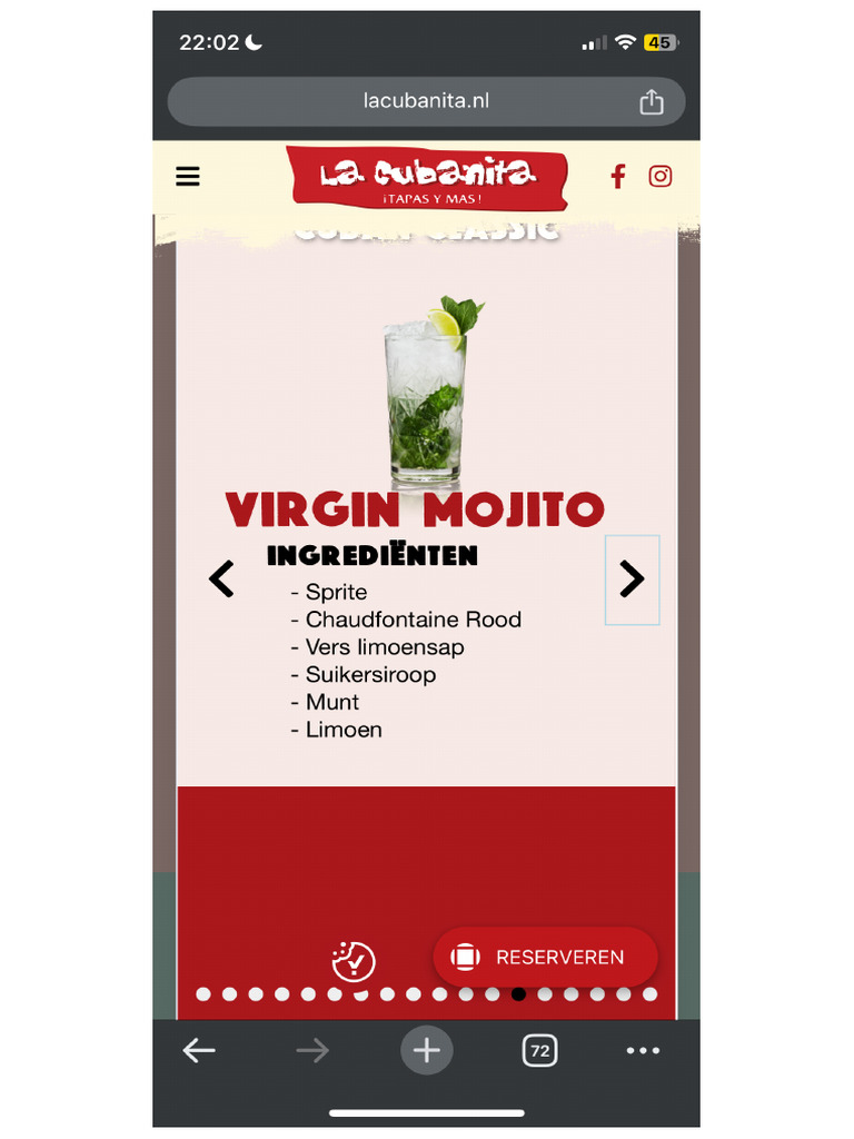 Virgin Mojito | PDF