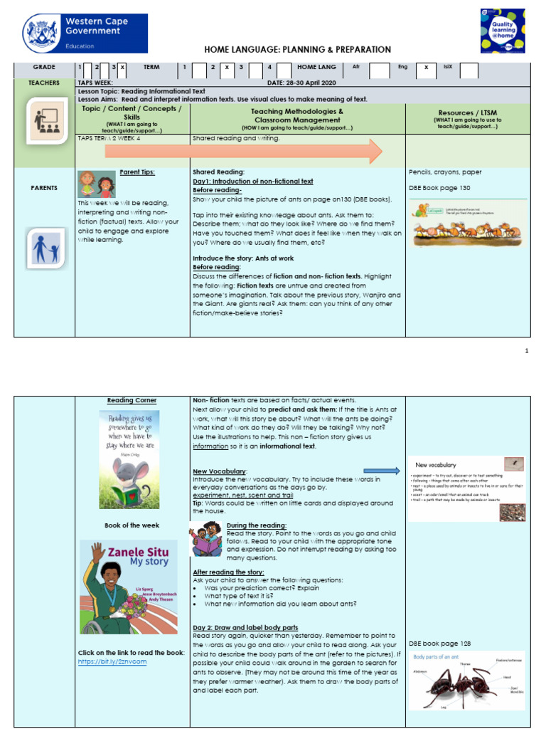 FP Grade 3 English HL LP 28 - 30 April | PDF | Vocabulary | Cognitive ...