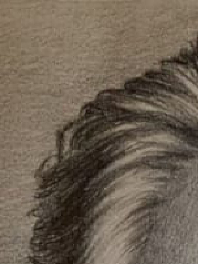 Gabriela Poster | PDF