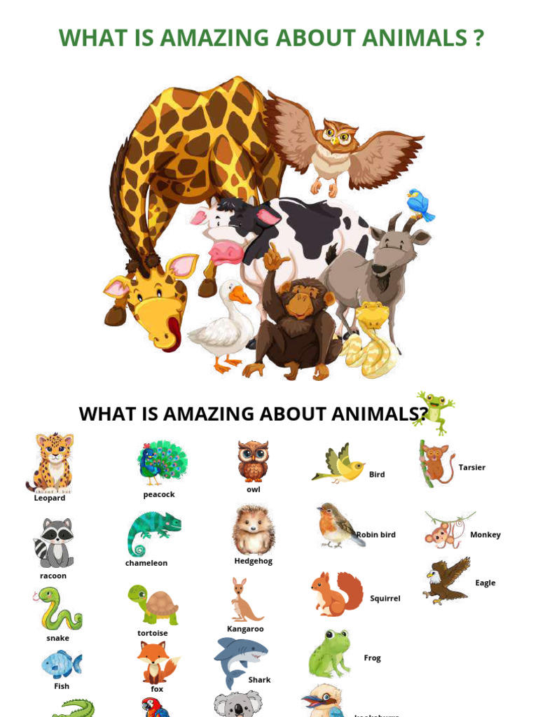 What Is Amazing About Animals ? | PDF
