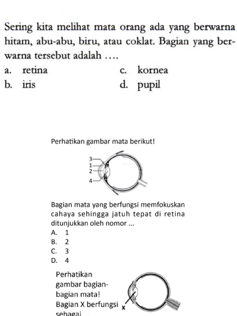 Soal Mata & Alat Optik | PDF