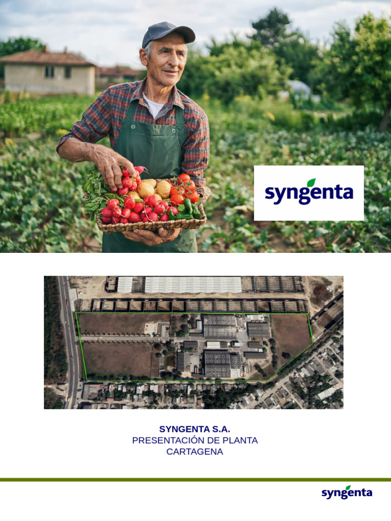 Socializacioìn Syngenta Consolidada | PDF | Agricultura | Sustentabilidad