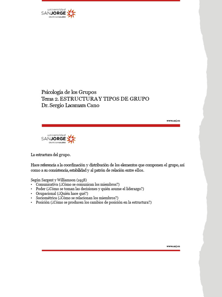 Estructura y Roles en Grupos Sociales | PDF | Comportamiento ...