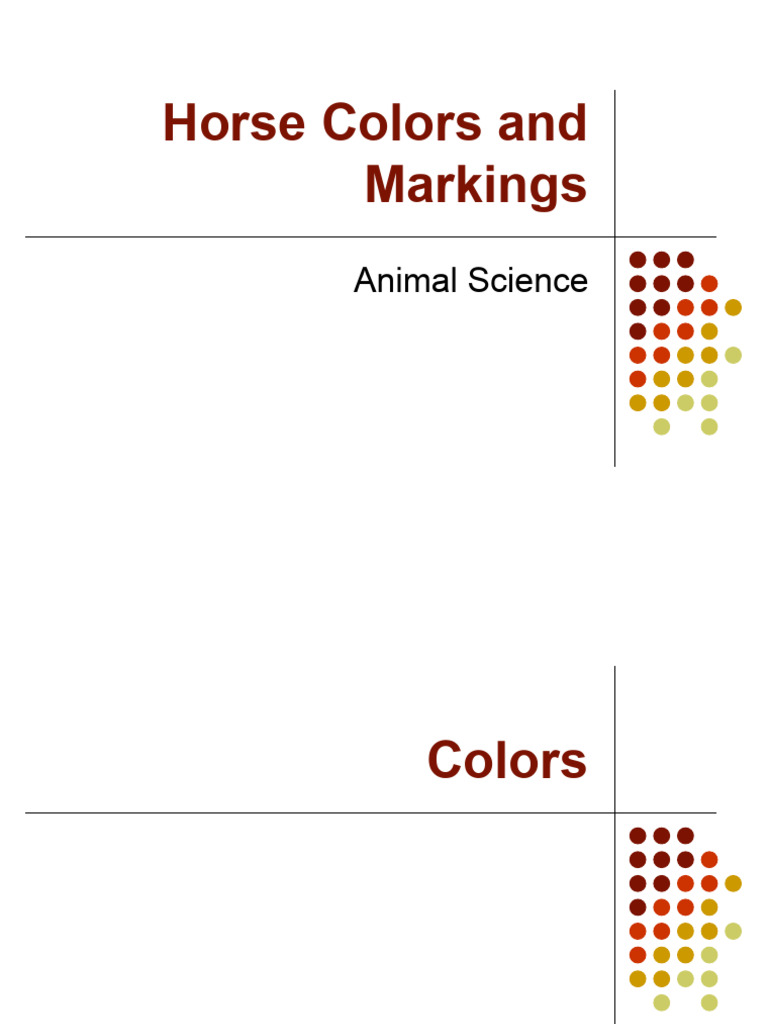 Horse Colors and Markings | PDF