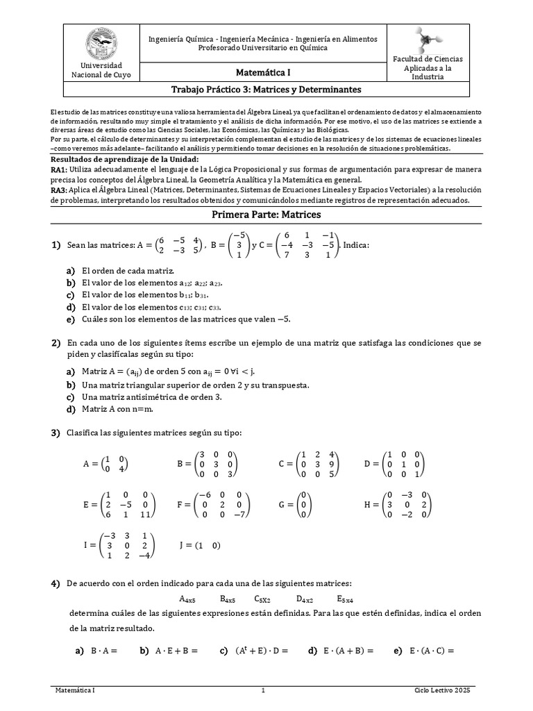 TP3a Matrices 2025 | PDF | Matriz (Matemáticas) | Álgebra lineal