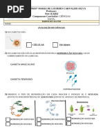 Atividade Mitose e Meiose | PDF | Meiose | Mitose