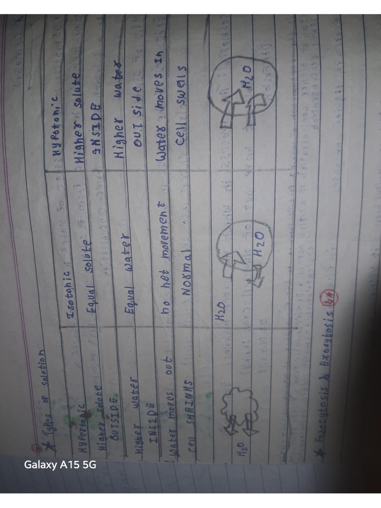 Class 9 Types of Solution | PDF