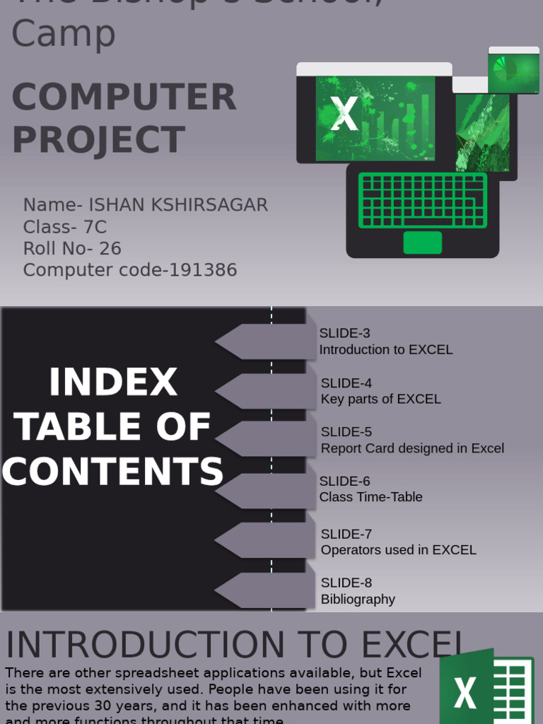 Computer Project Ishan Kshirsagar 26 | PDF | Microsoft Excel | Software