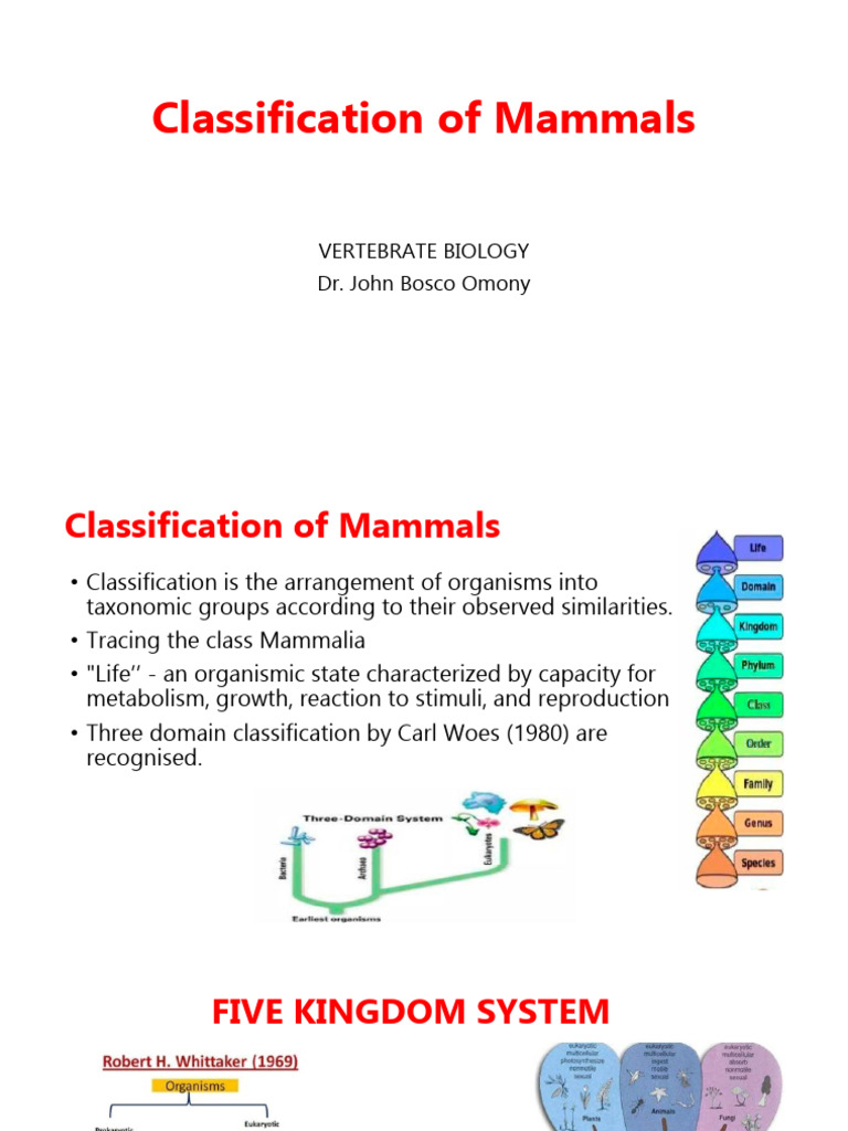 Lecture 14 BIO1202 Classification of Mammals | PDF | Cetacea | Marsupials