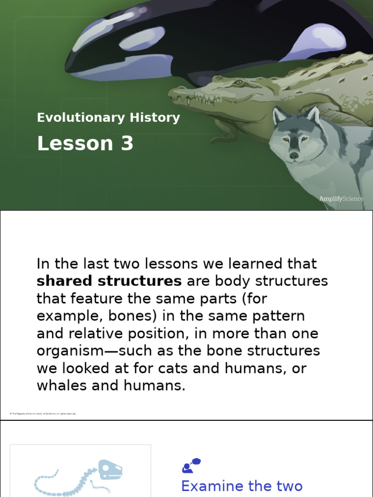 Shared Limb Structures in Evolution | PDF | Evolution | Species