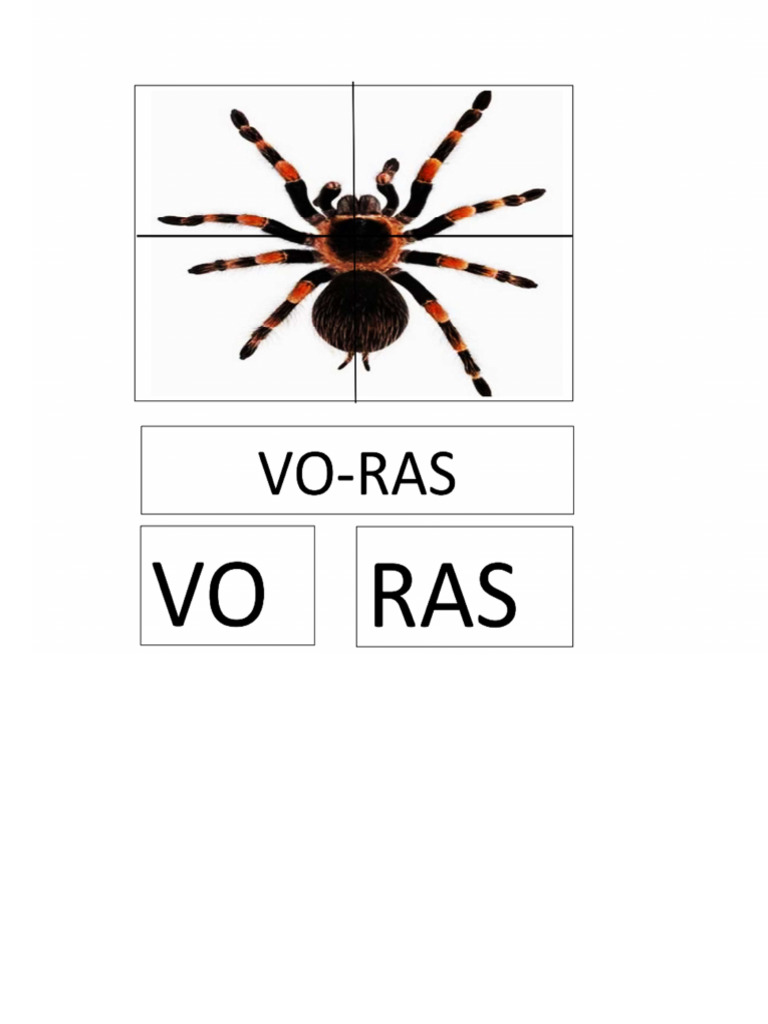 Voras Du | PDF