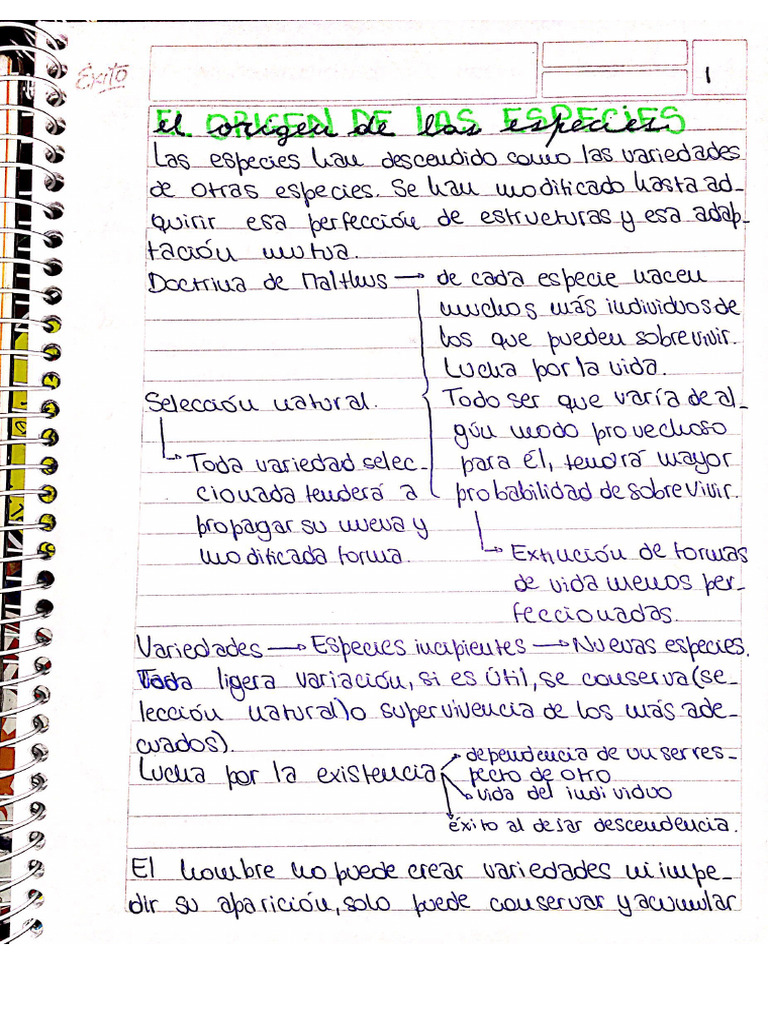 Resumen Ipc | PDF