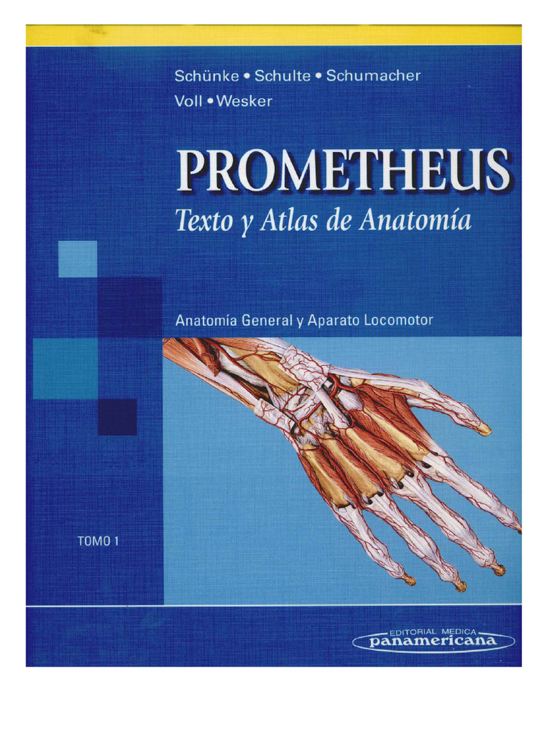 Prometheus Tomo I Anat. General y Aparato Locomotor 1ED | PDF