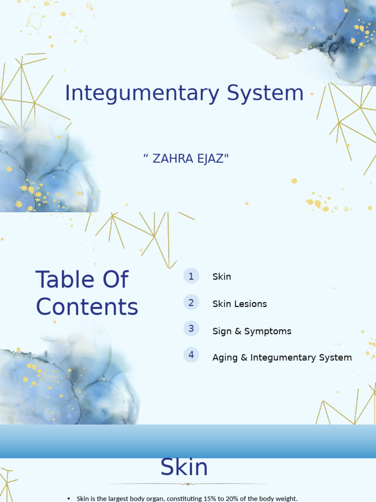 Introduction To Skin Integumentary System | PDF | Skin | Integumentary ...