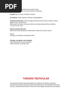 Anatomía del Escroto y Testículos | PDF | Testículo | Especialidades ...