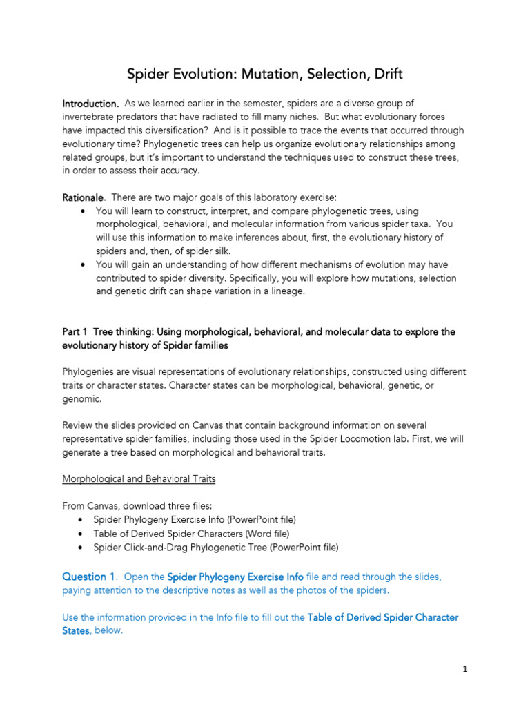 (Spider) Evolutionary Mechanisms 2024 | PDF | Phylogenetics | Evolution