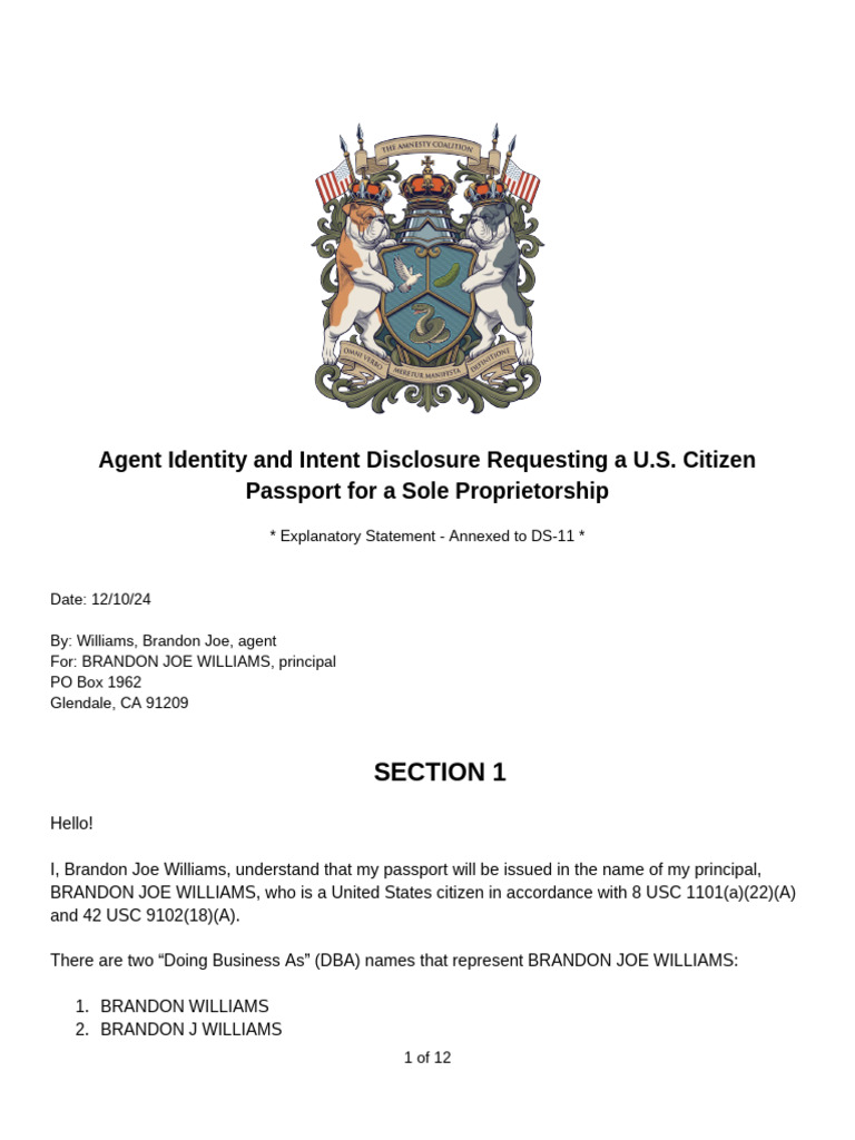 Explanatory Statement For The Amnesty Coalition | PDF | Citizenship ...