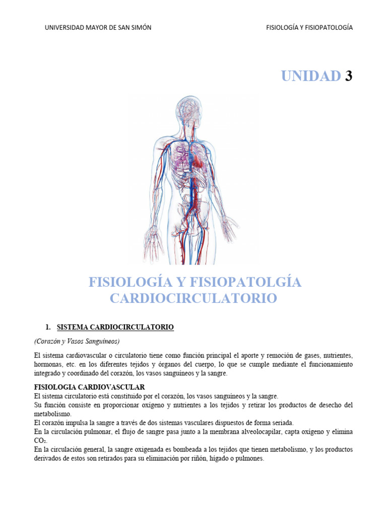 UNIDAD 3 - Aparato Cardiocirculatorio | PDF | Corazón | Sistema circulatorio