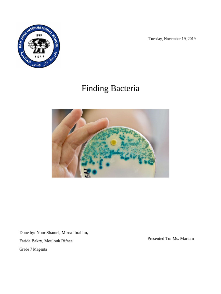Finding Bacteria | PDF | Bacteria | Microscopy