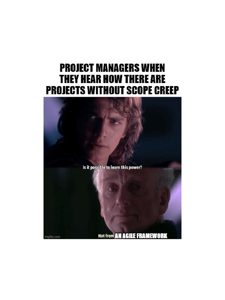 Project Scope Meme | PDF
